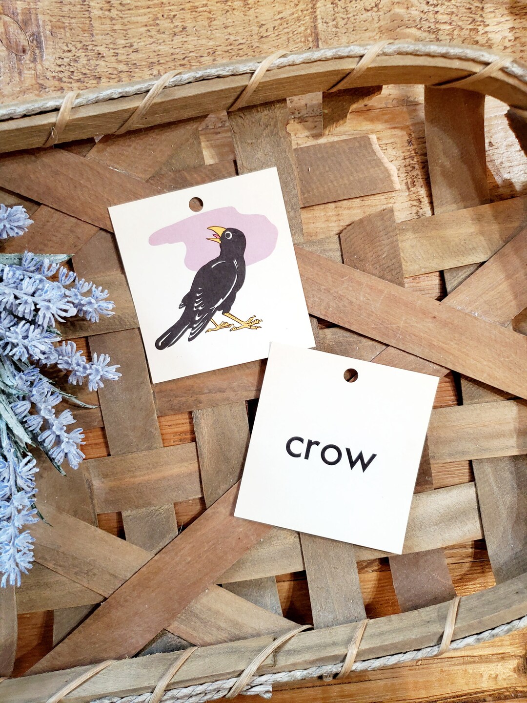 Vintage Crow Flash Cards, Halloween Decor, Antique Flashcards, Ephemera ...