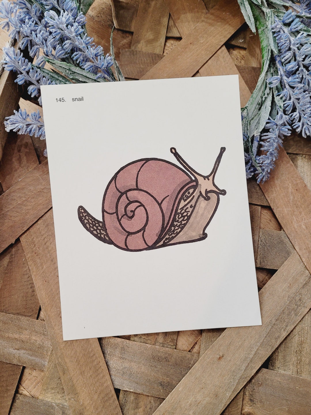 Vintage Snail Flash Card, Vintage School, Antique Flashcards, Mixed ...