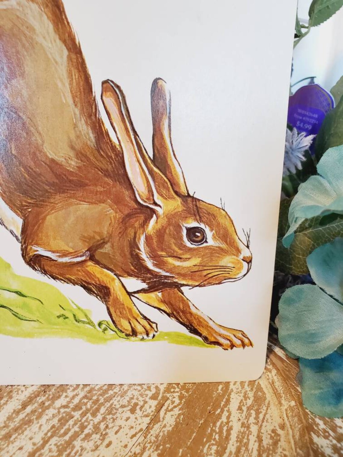 Vintage Bunny Rabbit Flash Card Antique flashcards Vintage | Etsy