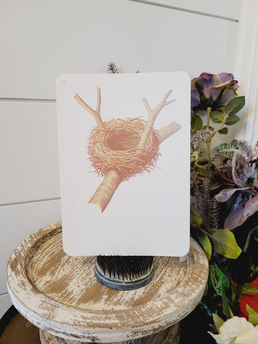 Vintage Bird's Nest Flash Card, Antique Flashcards, Vintage Ephemera ...