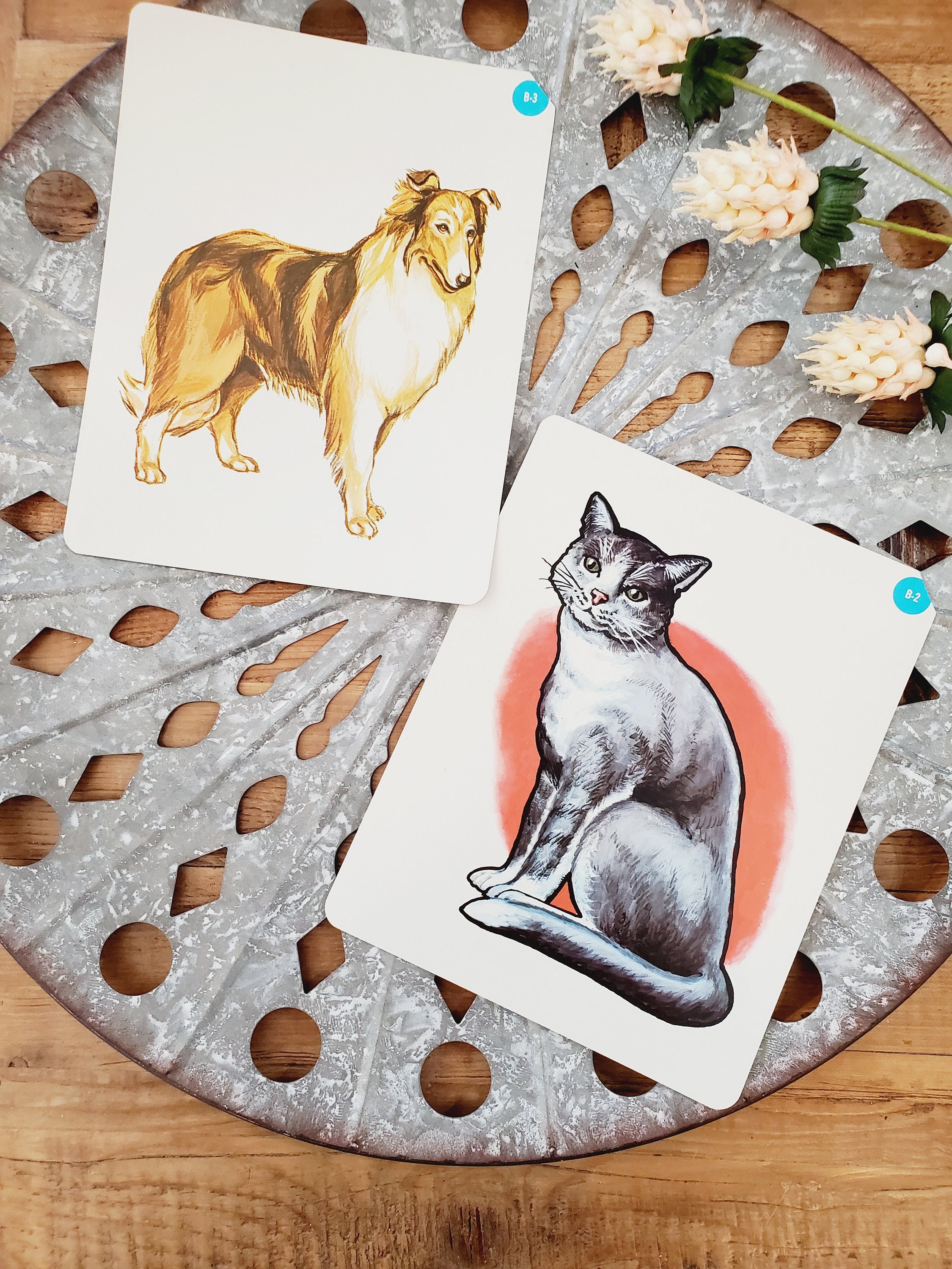 Vintage Cat Dog Flash Card Antique flashcards Vintage | Etsy