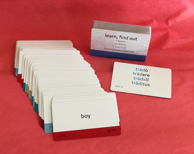 Latin Declension Classroom Poster Handout for Latin Teaching Digital ...