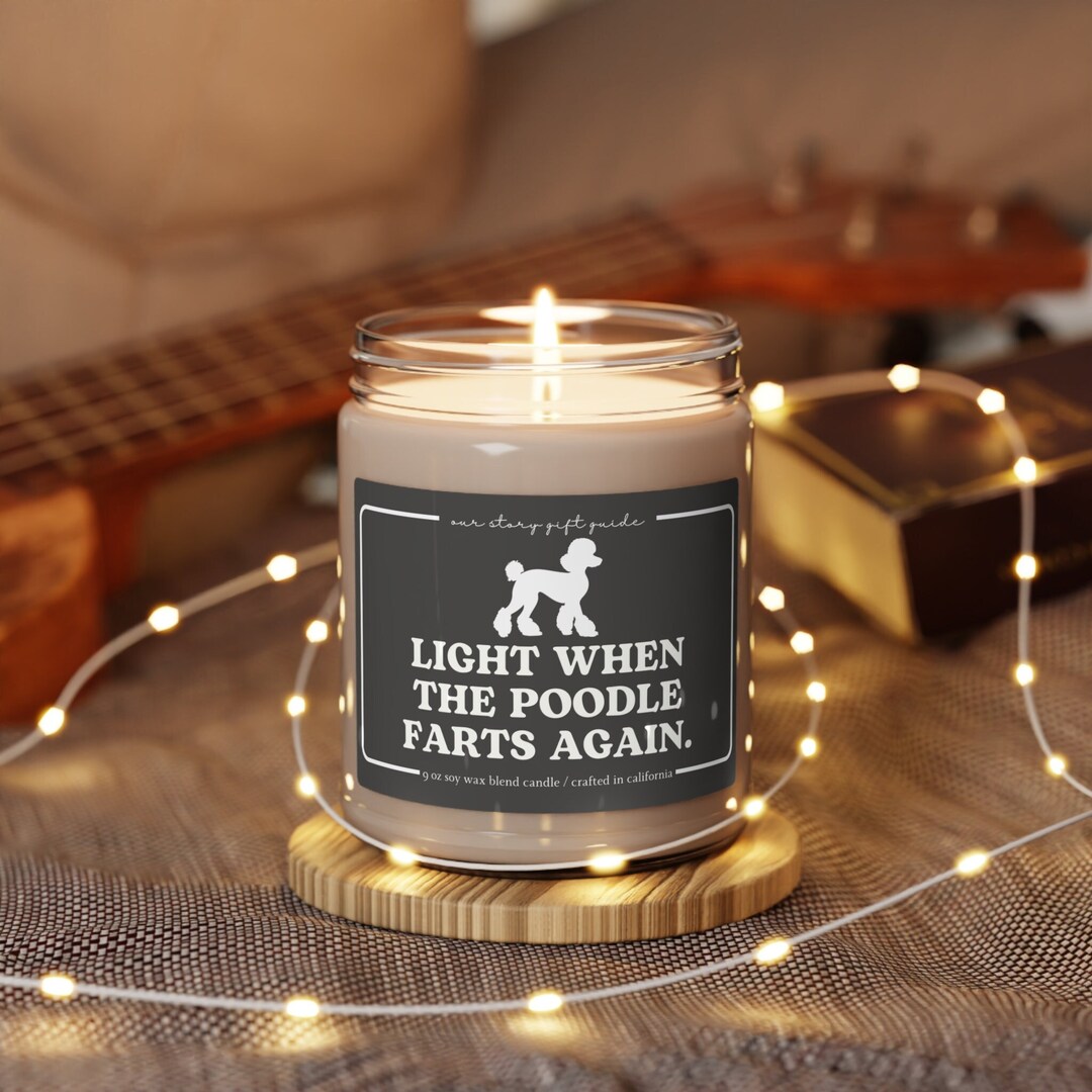 Light When the Poodle Farts Again, Poodle Gifts, Poodle Lover Gifts ...