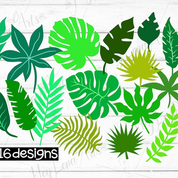 Jungle Leaf Svg - Etsy