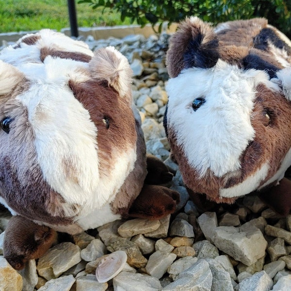 Stuffed Guinea Pig - Etsy