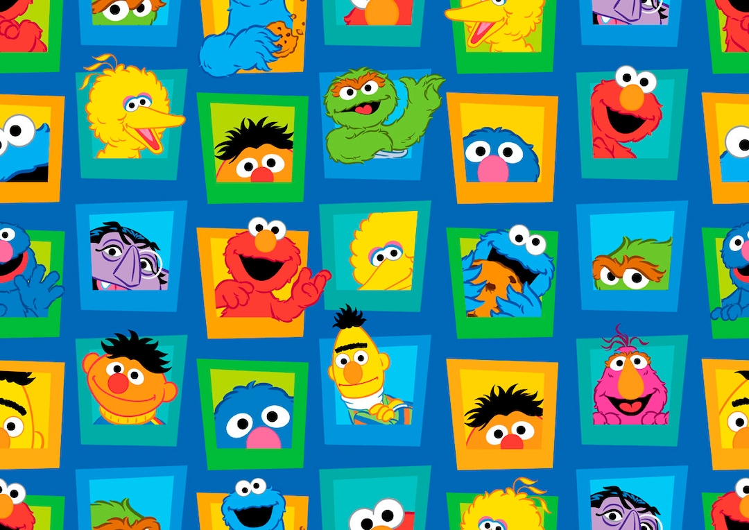 Sesame Street Fabric by QT Fabrics - Etsy