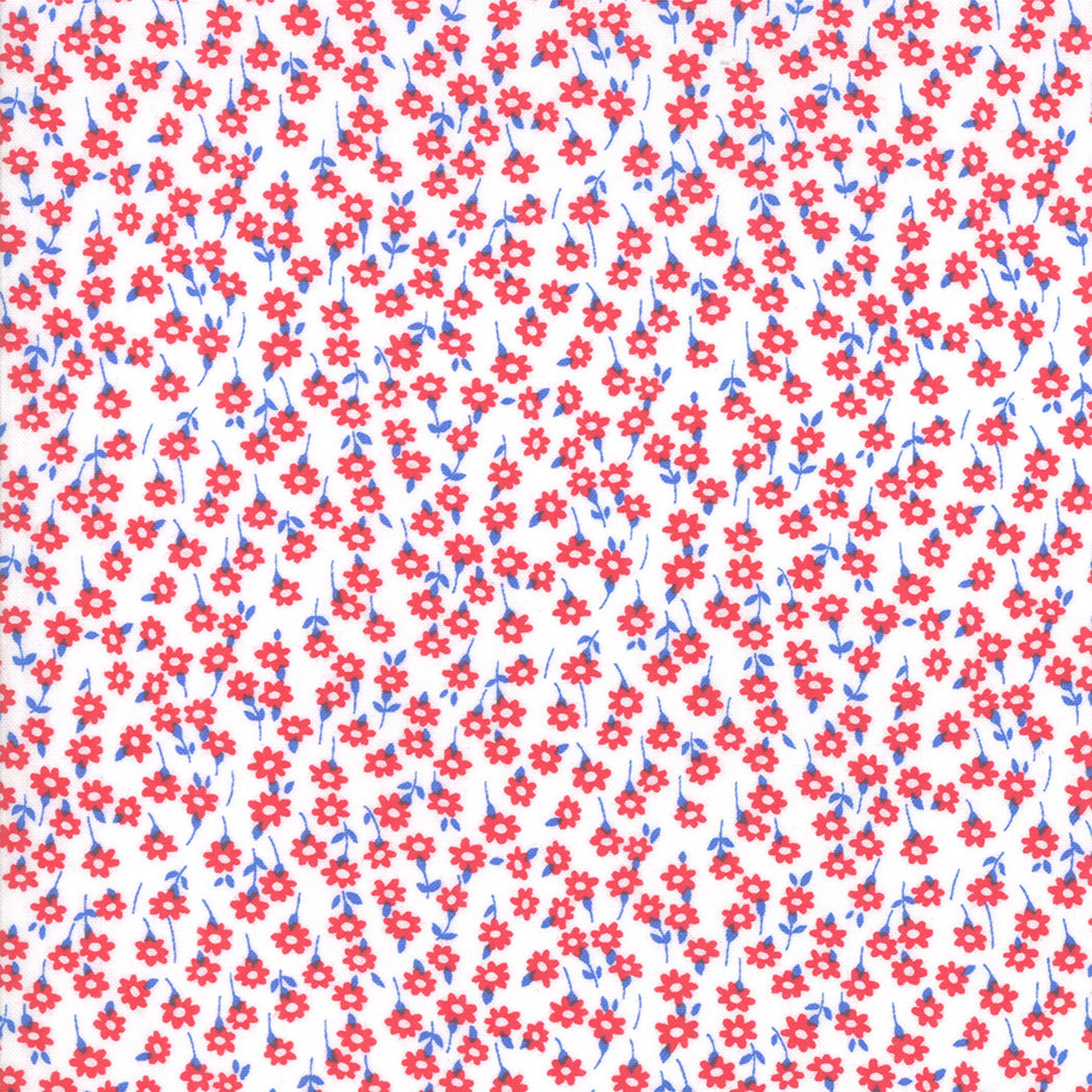 Back Porch Mini Daisies and Stripes W/bella Solids Waterfall | Etsy