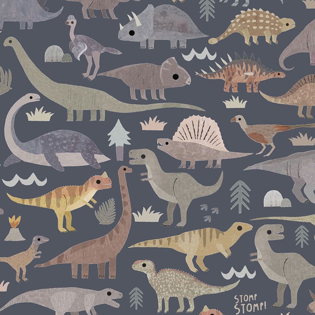 D is for Dinosaur Fabric by Dear Stella - Etsy
