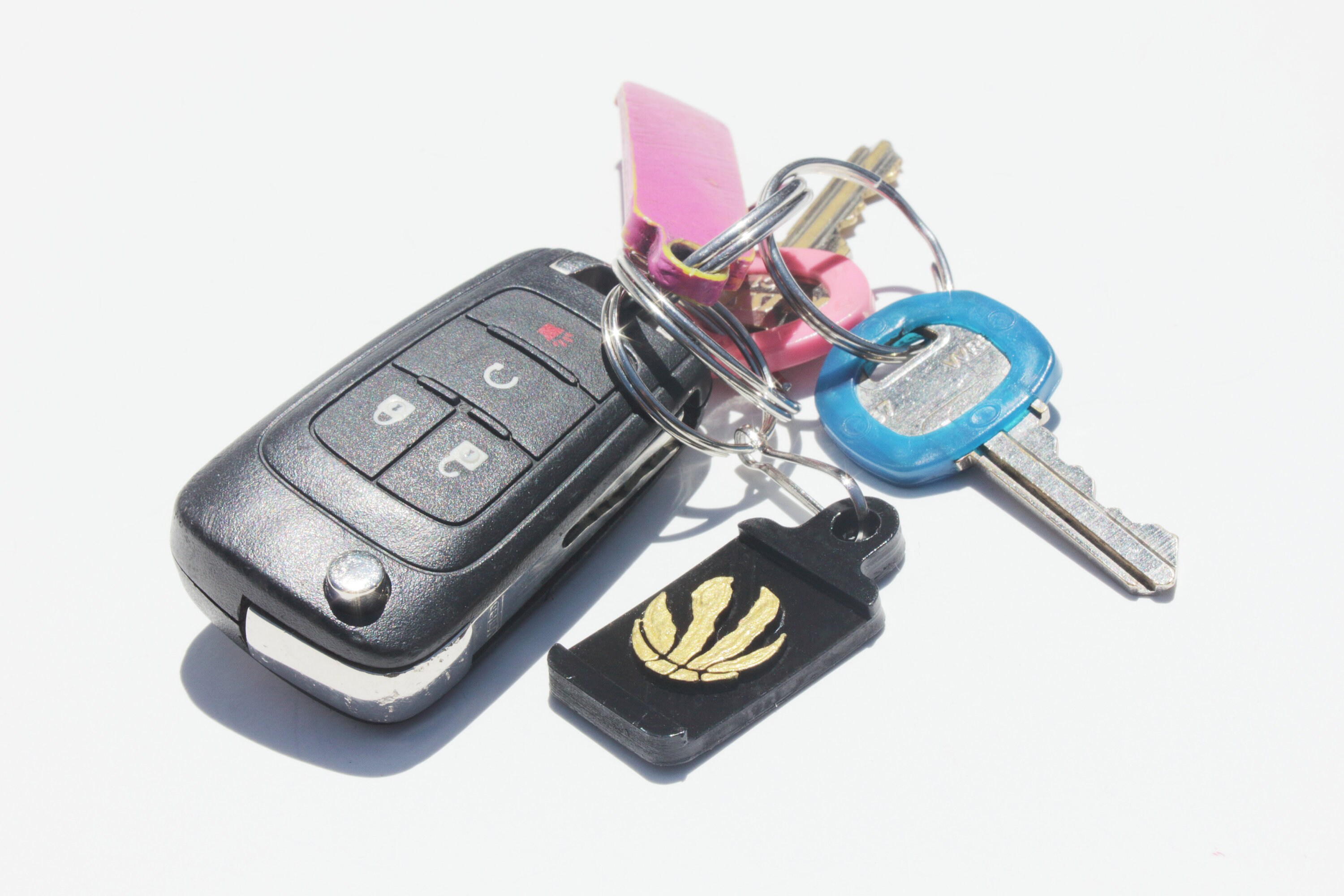 Raptors Keychain Black and Gold - Etsy Norway