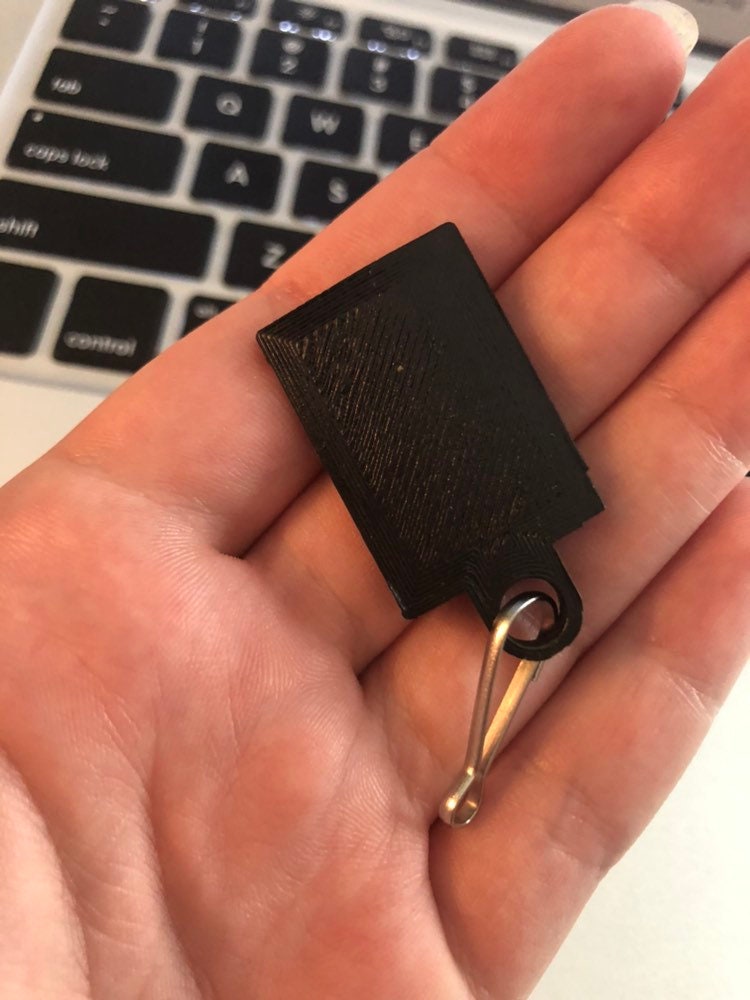 Raptors Keychain Black and Gold - Etsy Norway