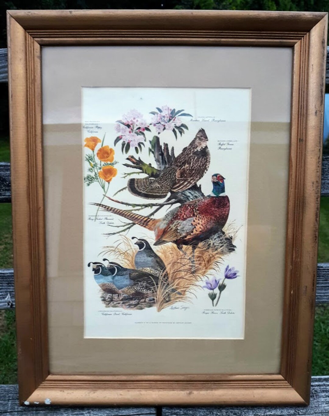 Vintage Framed and Matted Print, 'number 3 of A Series of Paintings by ...