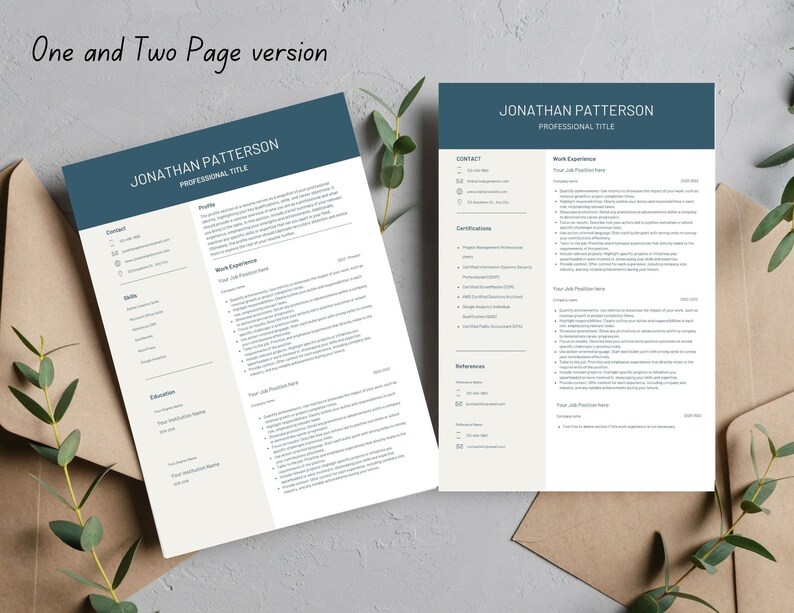 Professional Resume Template for Word Doc, Google Docs or Apple Pages ...