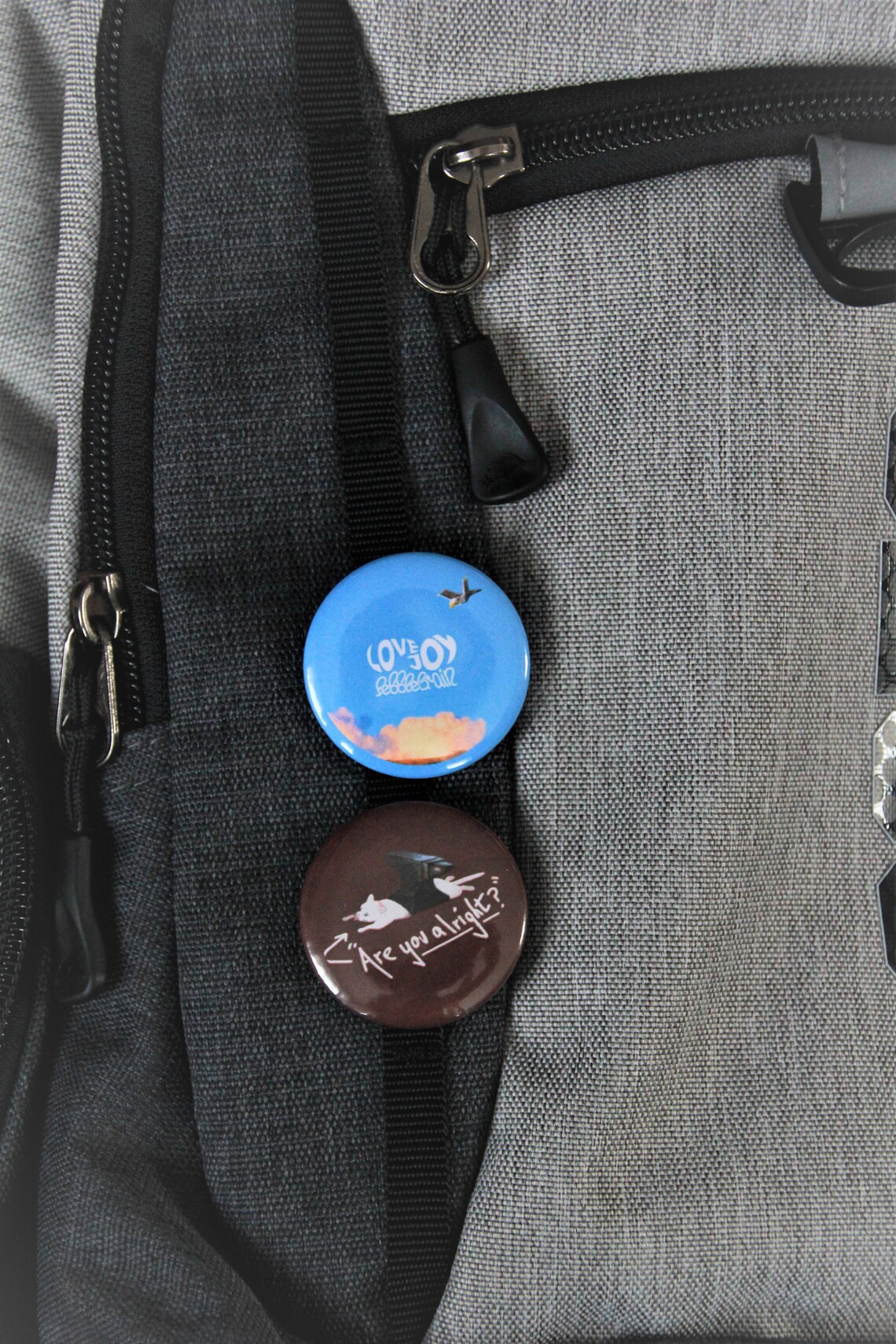 Tommyinnit Music Disc Pin Dream SMP Badge Pins Mellohi Cat - Etsy