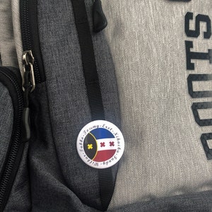 Tommyinnit Music Disc Pin, Dream SMP Badge Pins, Mellohi, Cat, Dsmp ...