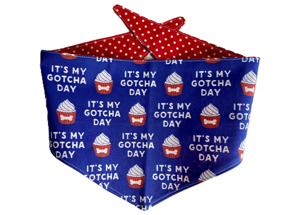 Reversible Dog Bandana: Gotcha Day Birthday Pattern, Hand-tie ...