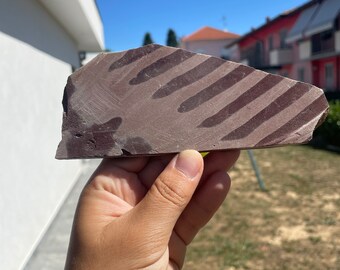 Zebra Stone western Australia - Etsy