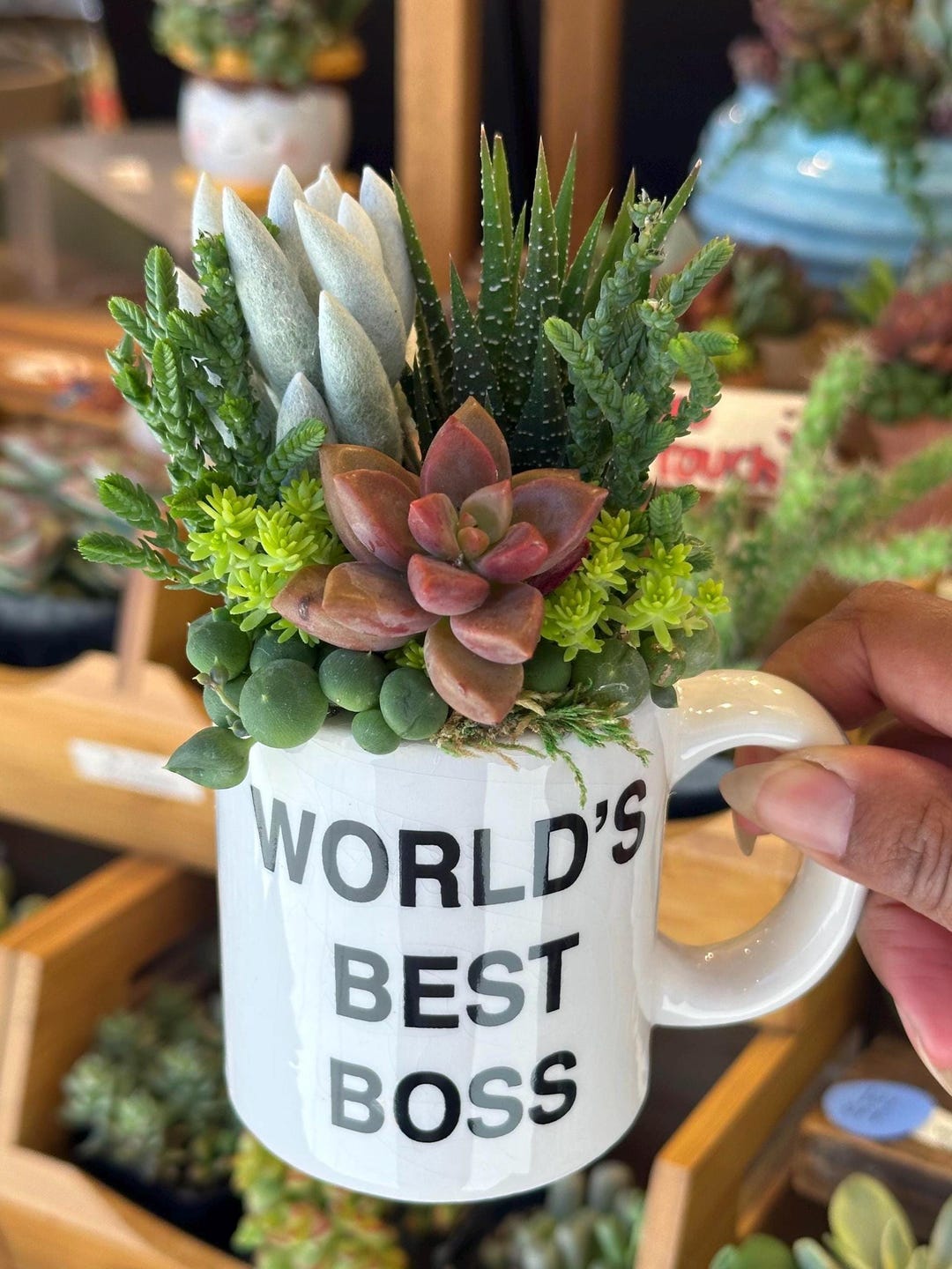World’s Best Boss Succulent Arrangement (the Office) - Etsy