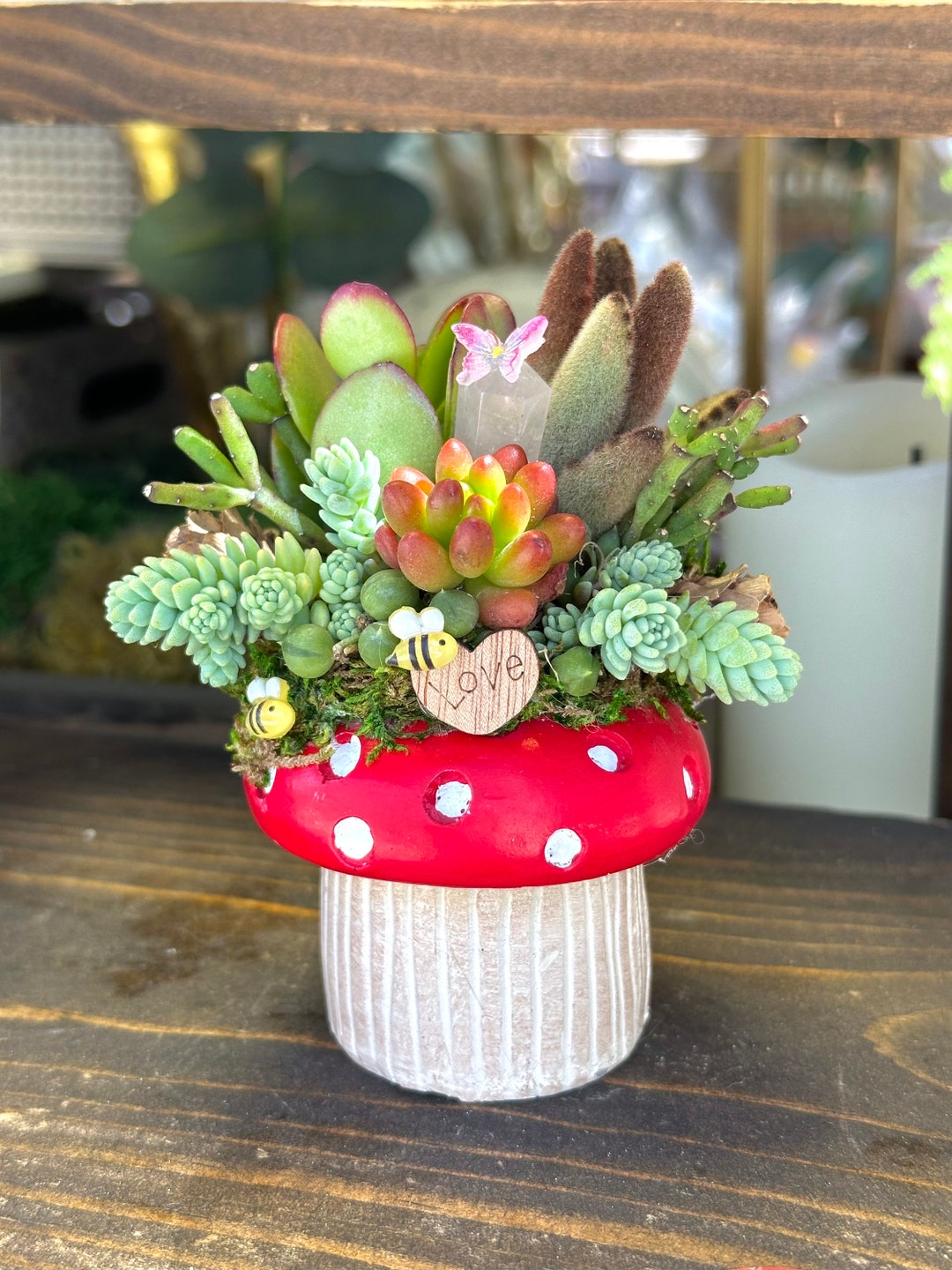 Mushroom LIVING Succulent Arrangement With Crystal Rose Quartz ...