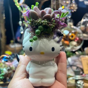 Mummy Hello Kitty Succulent Arrangement - Etsy