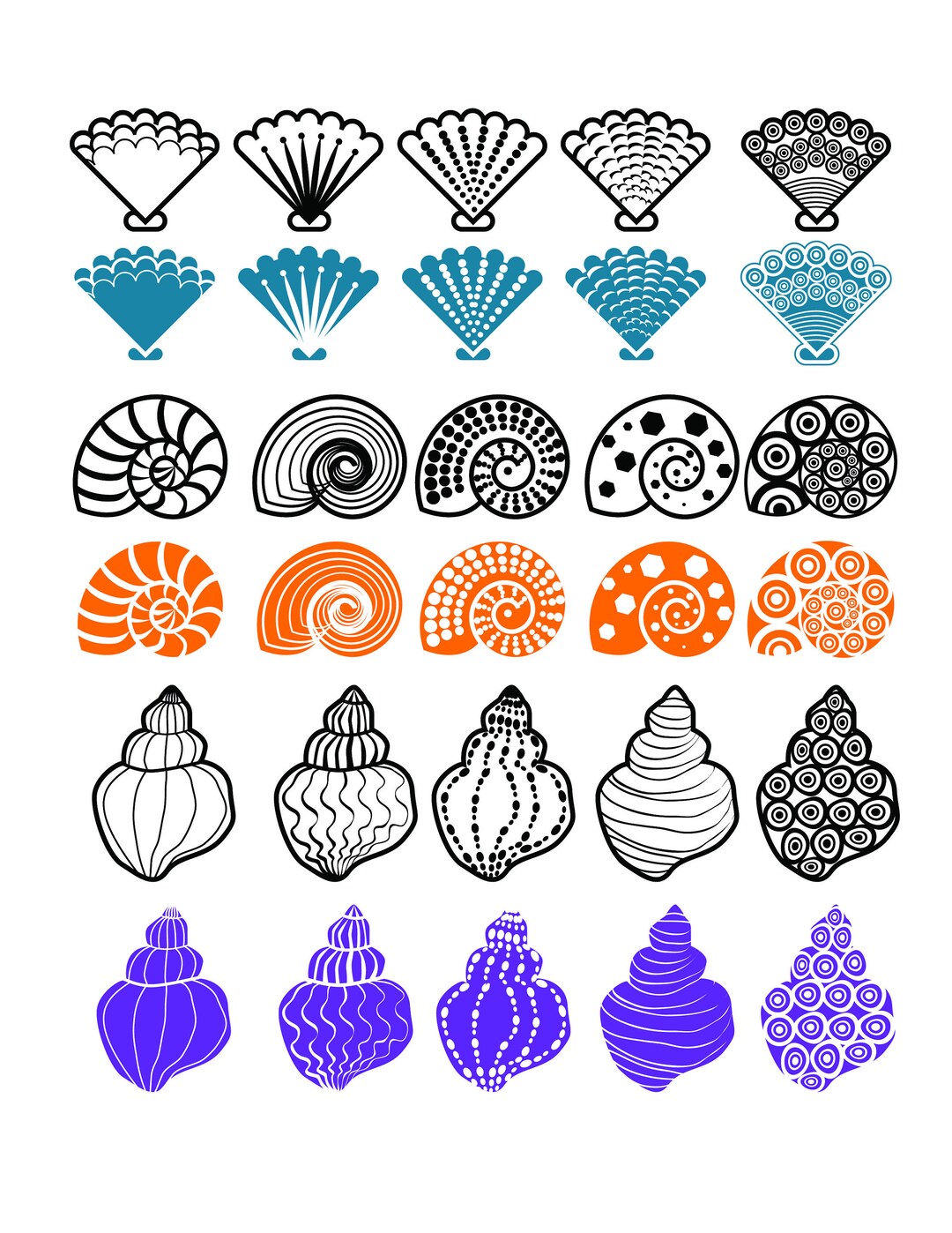 Vector Sea Shells - Etsy