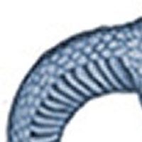 Total Solar Eclipse Bundle - Etsy