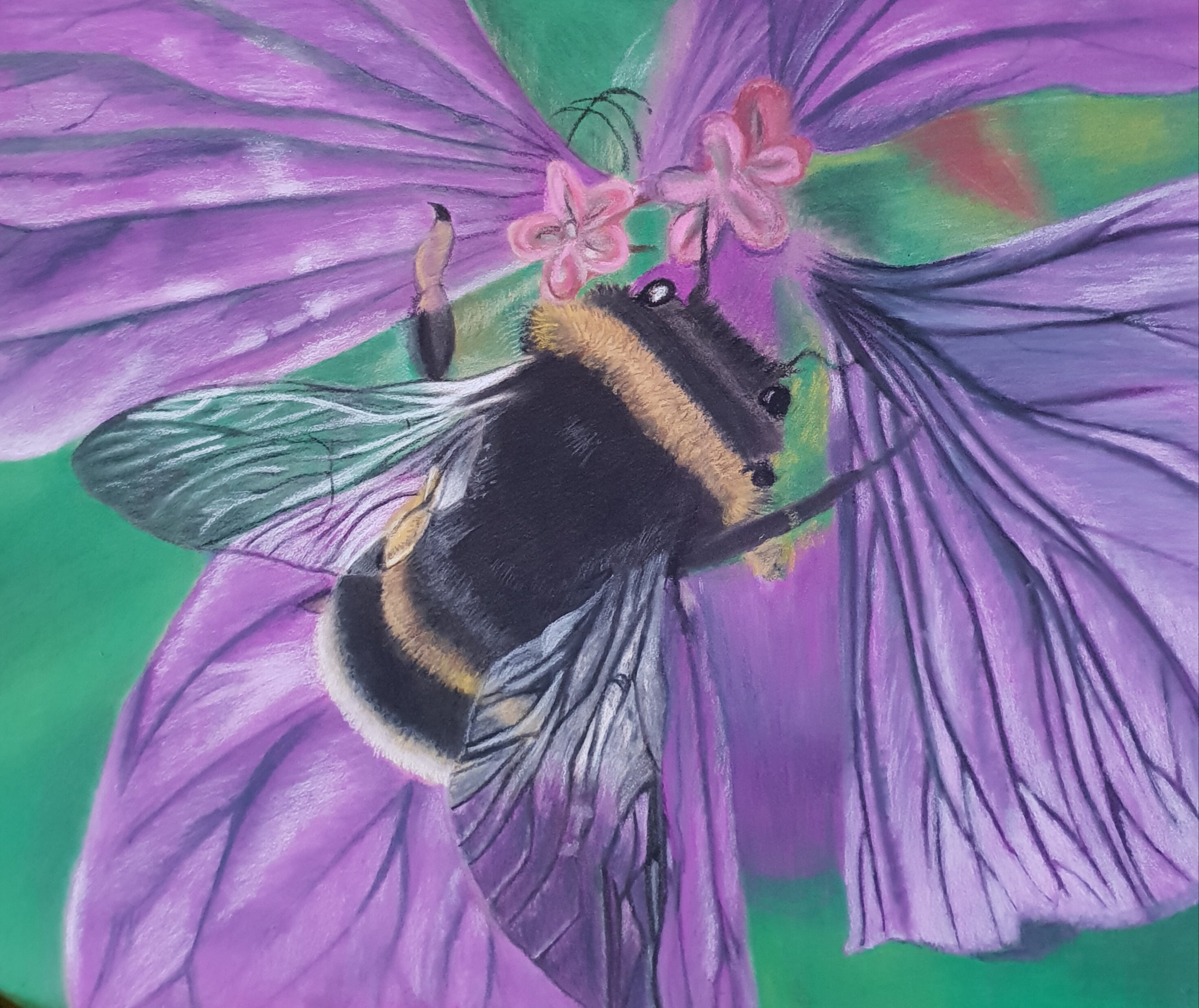 Bumble Bee Pastel Painting by Esther Parr Original Pastel | Etsy