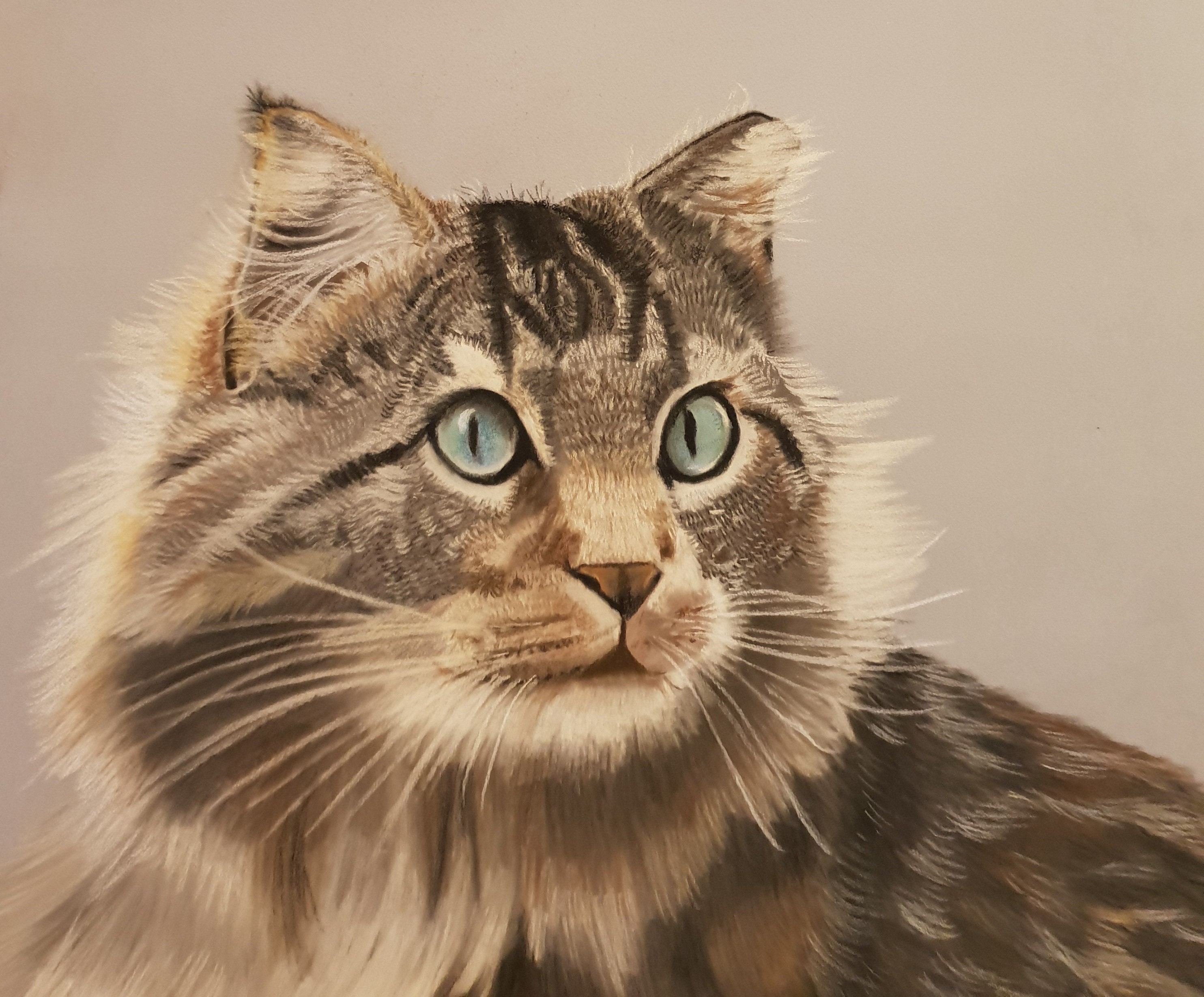 Pastel Paintings Of Cats