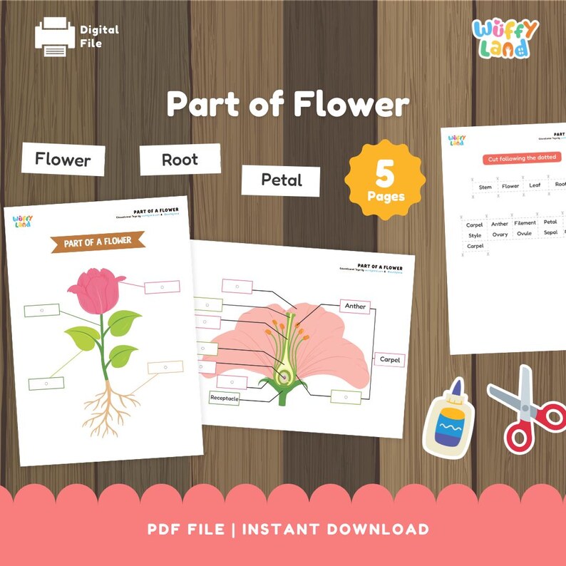 Parts of a Flower Worksheet - Labeling & Cut and Paste Activity - Plant ...