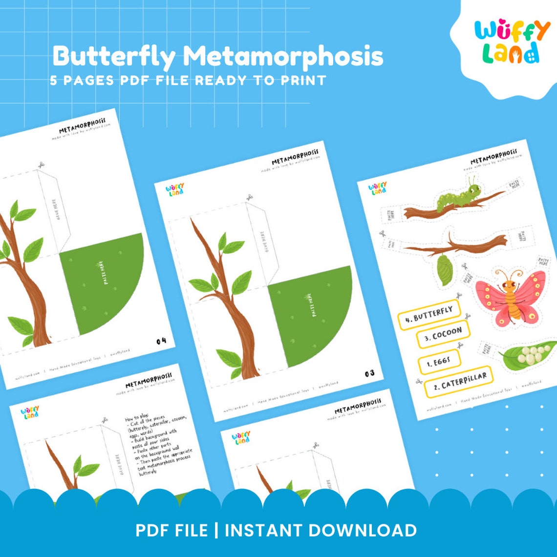 Butterfly Metamorphosis, DIY for Kids, Crafting for Preschool and ...