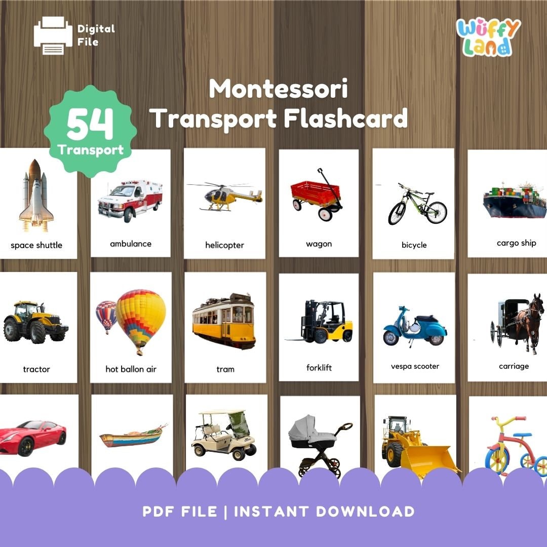 54 Montessori Trasport Cards, Nomenclature Cards, Real Image ...