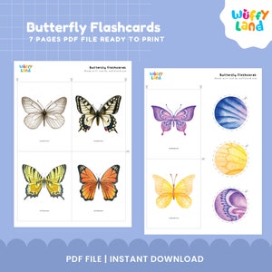 Butterfly Flashcards, Butterfly Research, Nature Study, Toddler ...