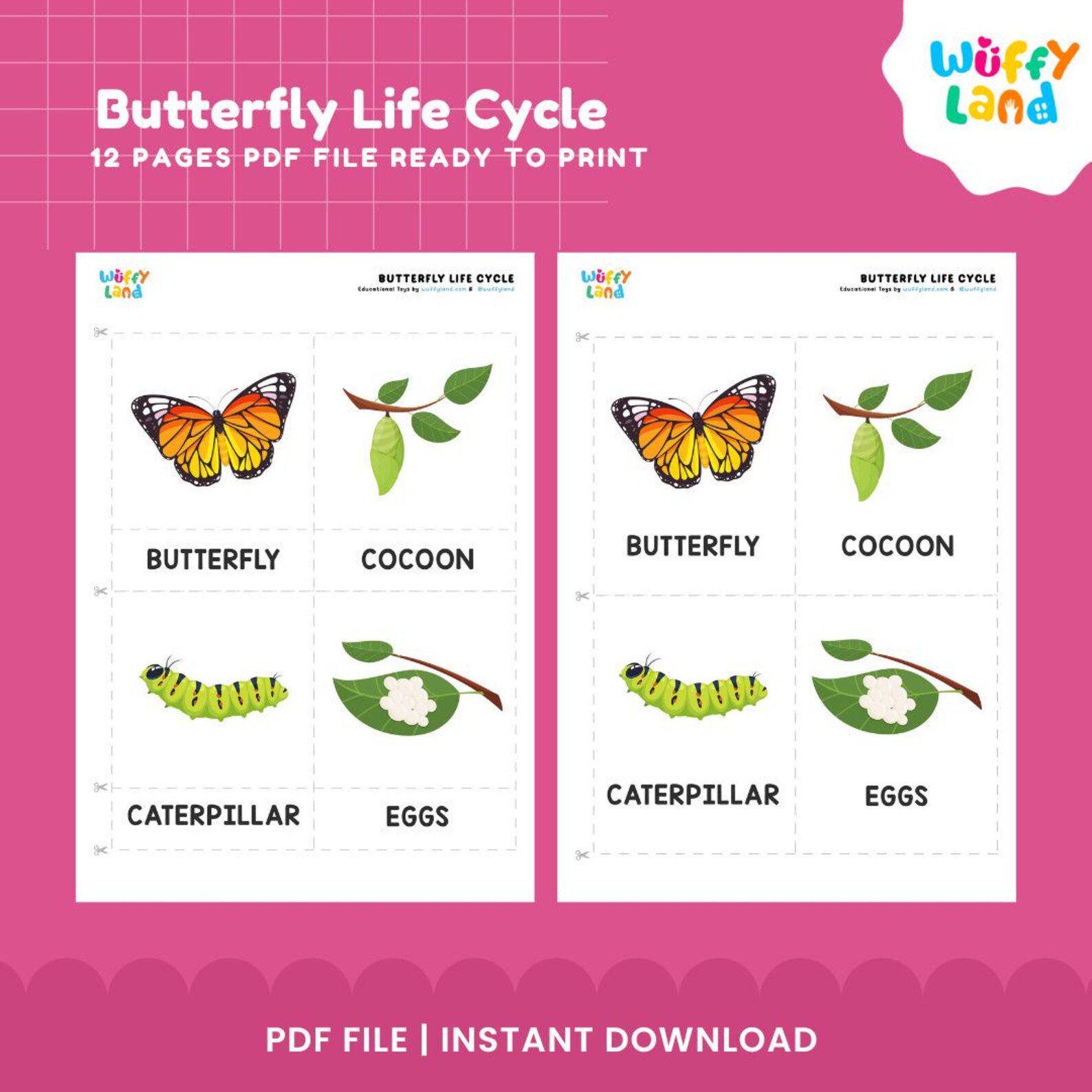 Butterfly Life Cycle Printable | Life Cycle Worksheet for Kids ...