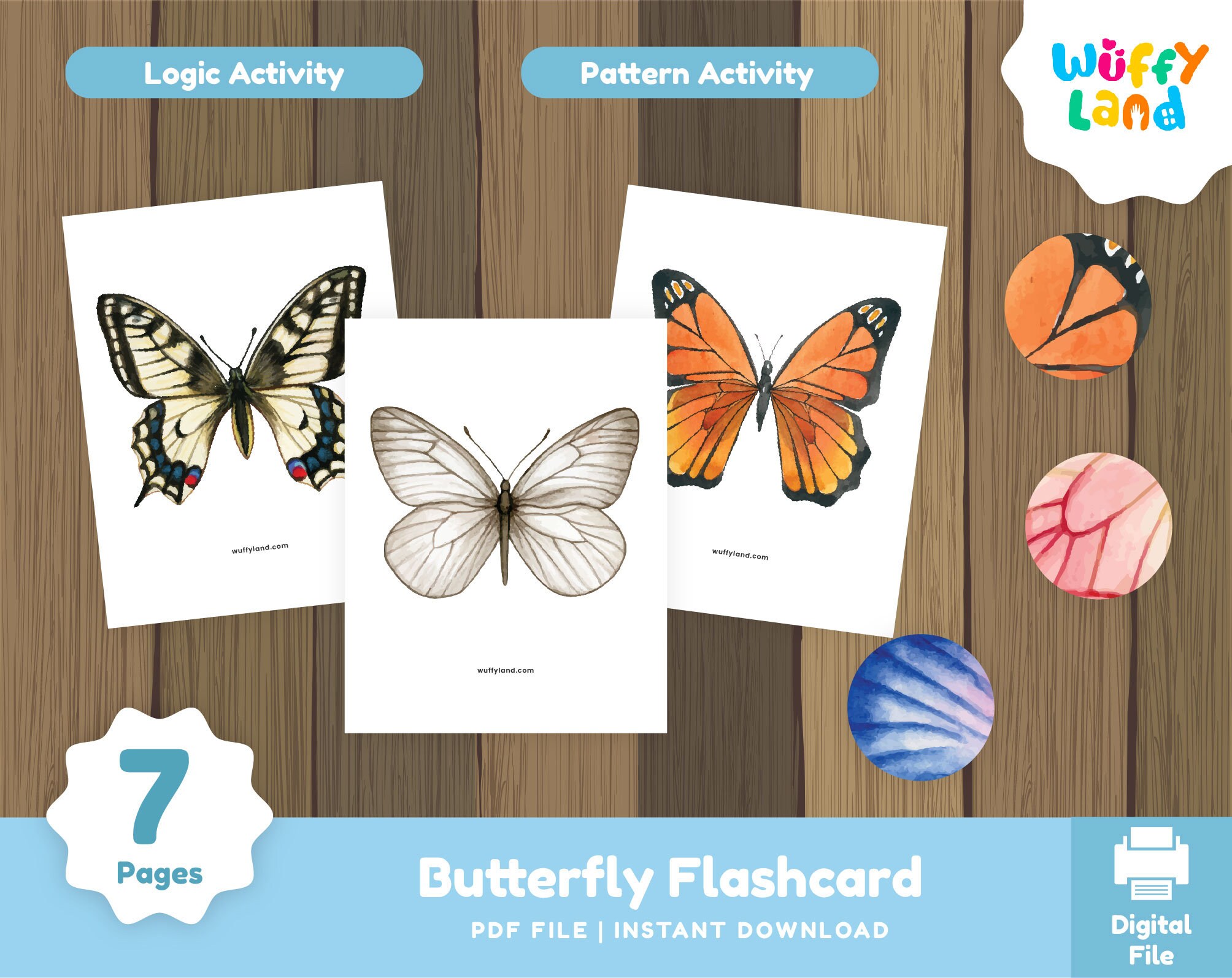 Butterfly Flashcards Butterfly Research Nature Study - Etsy