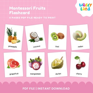 Real 45 Image Montessori Fruit Flashcards for Toddlers – Educational ...