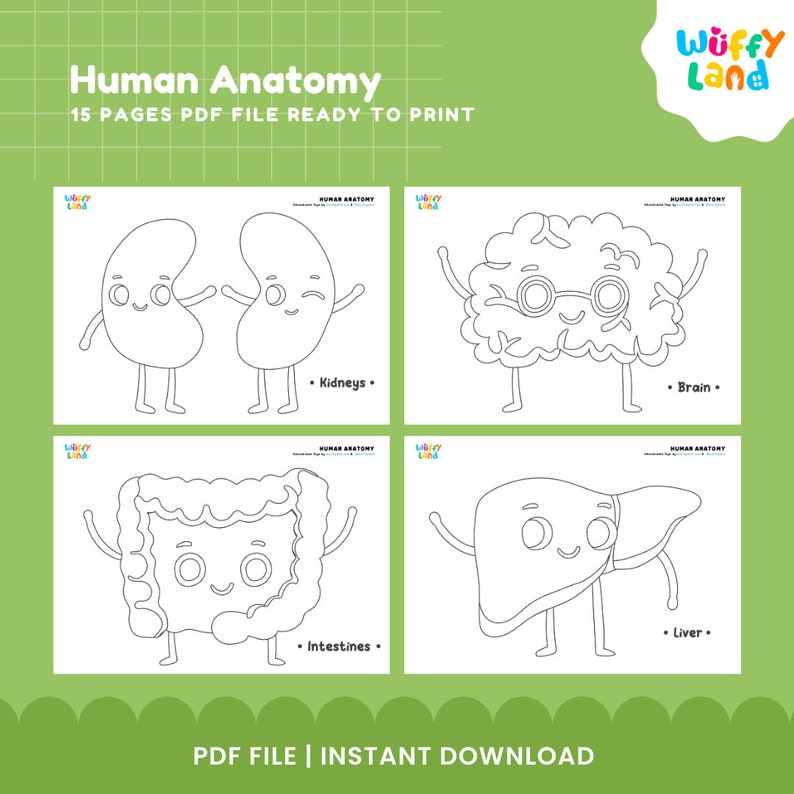 Human Anatomy Busy Book, Human Anatomy Activity Unit, Biolgy for Kids ...