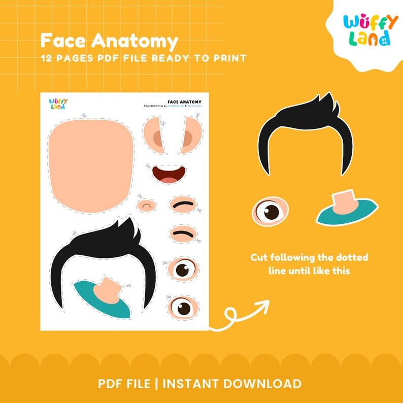 Anatomía De La Cara, Partes De La Cara, Actividad De Aprendizaje ...