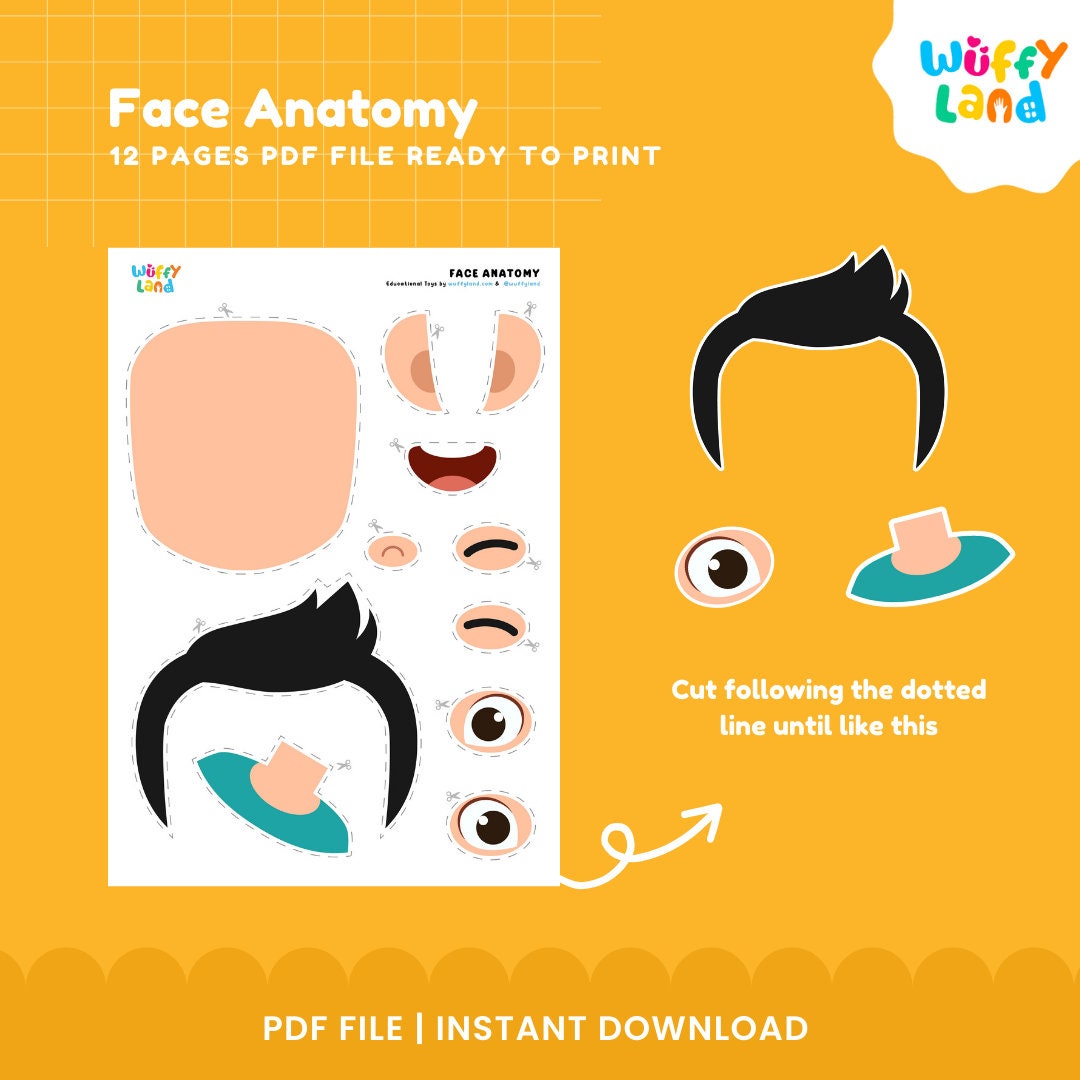 Anatomía De La Cara, Partes De La Cara, Actividad De Aprendizaje ...