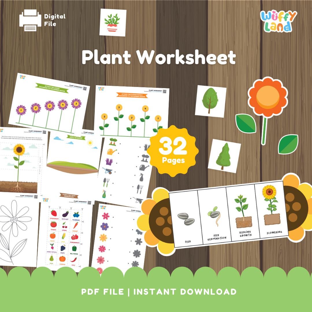 Plant Learning Worksheets for Kids: Printable Education Activities ...
