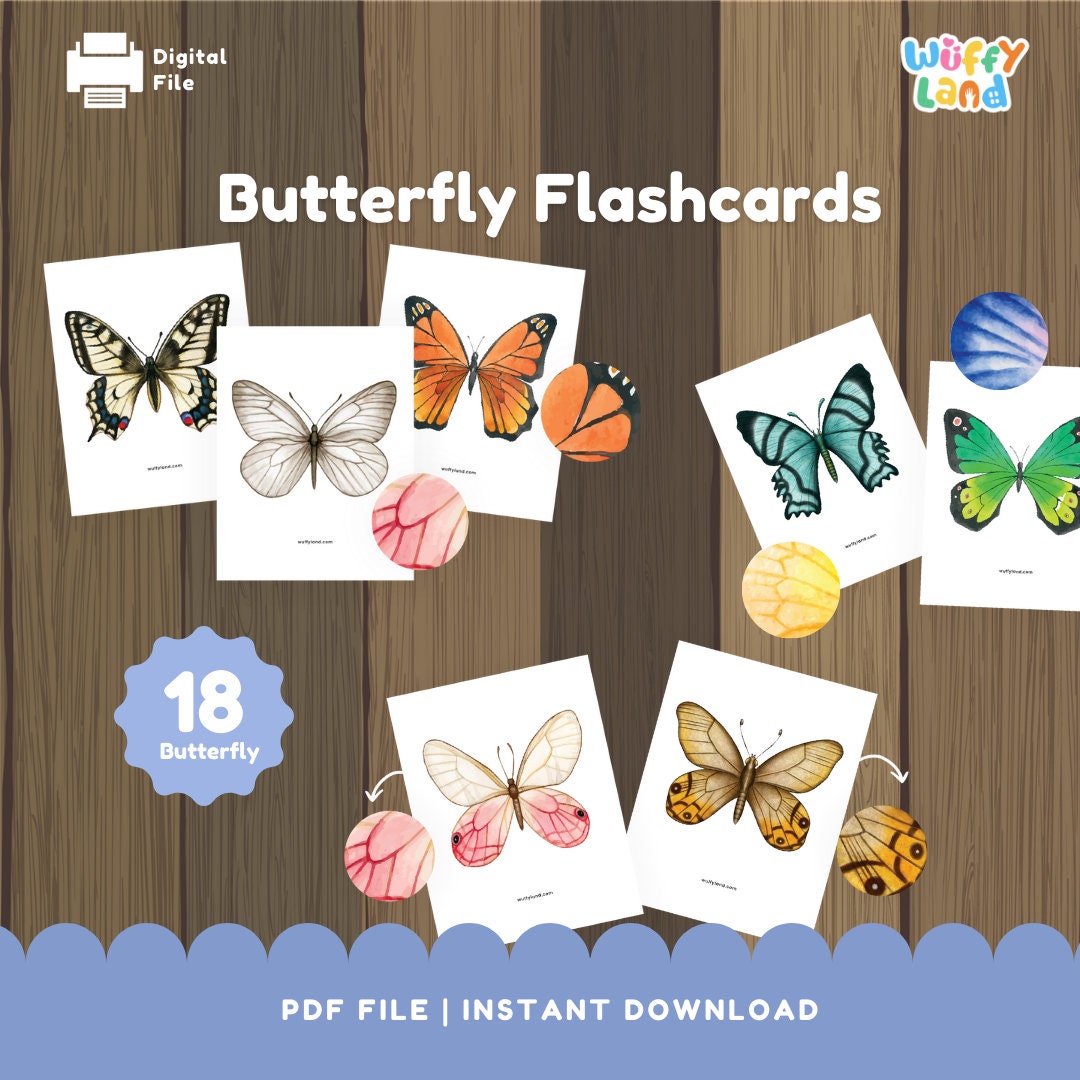 Butterfly Flashcards, Butterfly Research, Nature Study, Toddler ...
