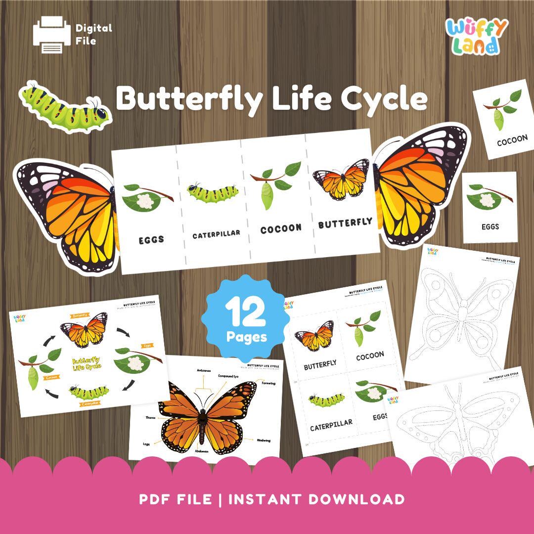 Butterfly Life Cycle Printable: Montessori Science Activity (PDF ...