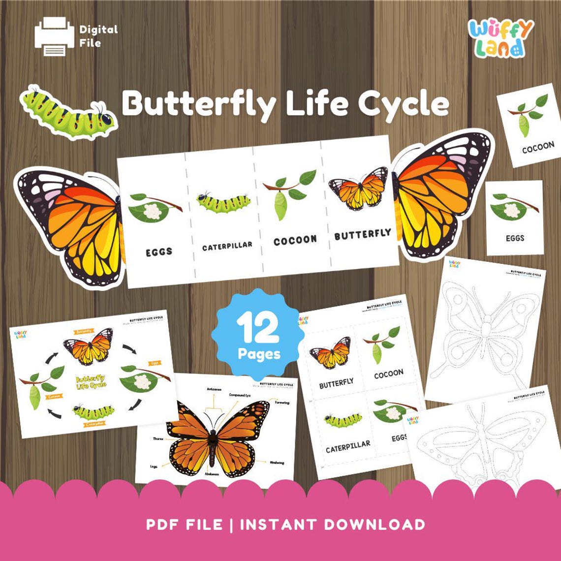 Butterfly Life Cycle Printable | Life Cycle Worksheet for Kids ...
