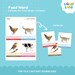 Animal Word Flashcards, Printable Animal Themed Flashcards, Montessori ...