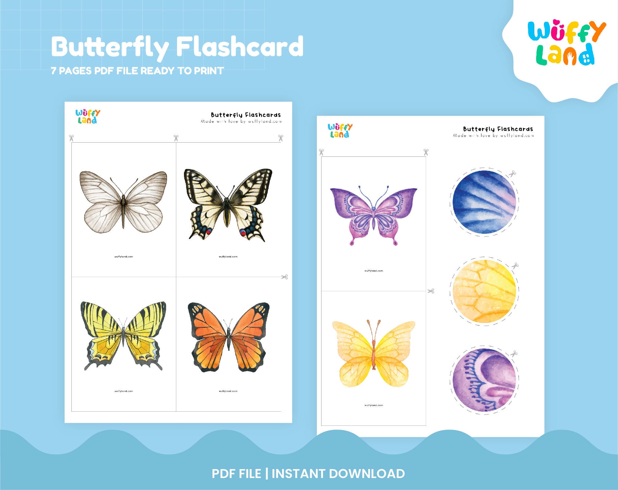 Butterfly Flashcards Butterfly Research Nature Study - Etsy