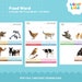 Animal Word Flashcards, Printable Animal Themed Flashcards, Montessori ...