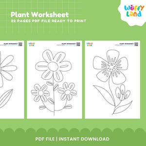 Plant Learning Worksheets for Kids: Printable Education Activities ...