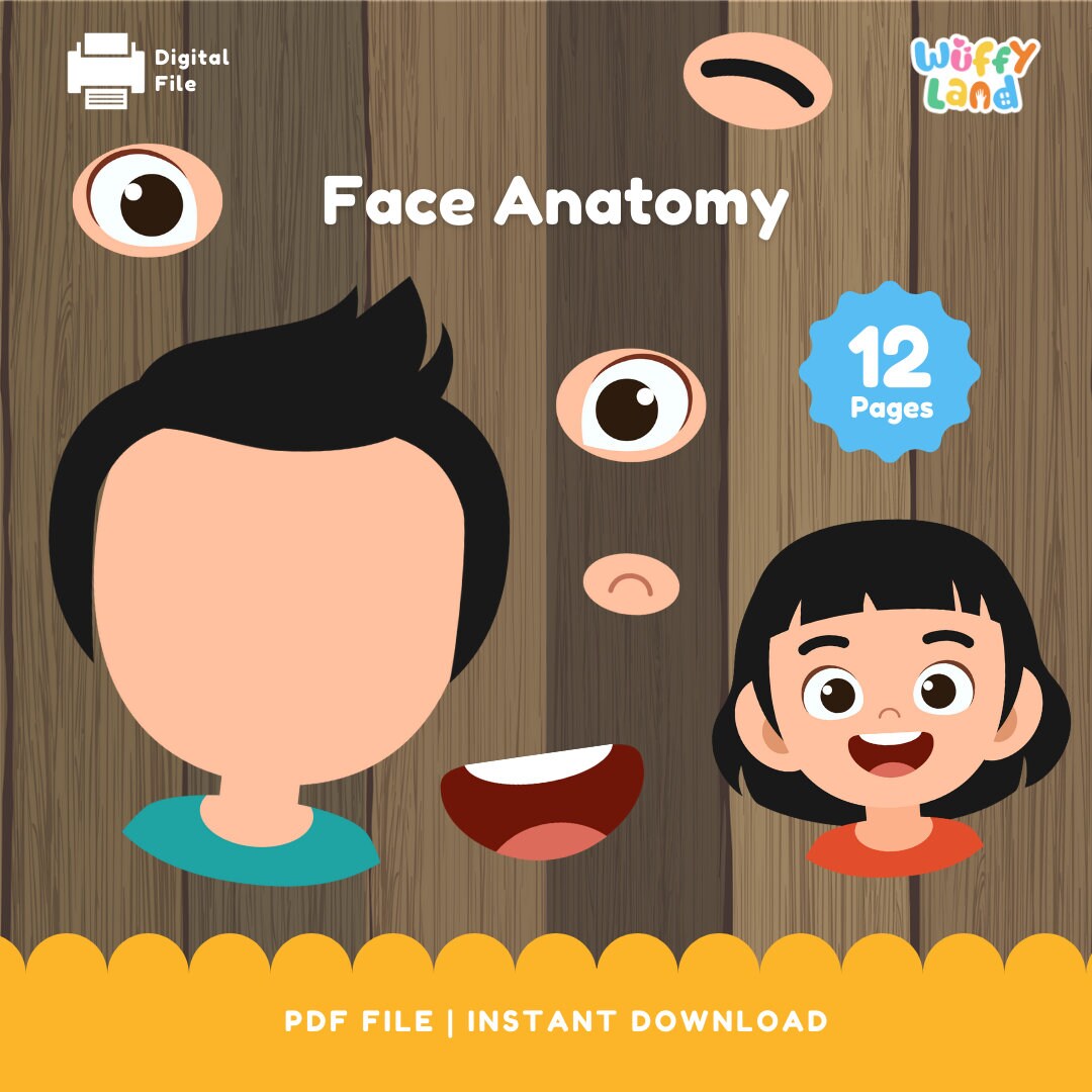 Anatomía De La Cara, Partes De La Cara, Actividad De Aprendizaje ...