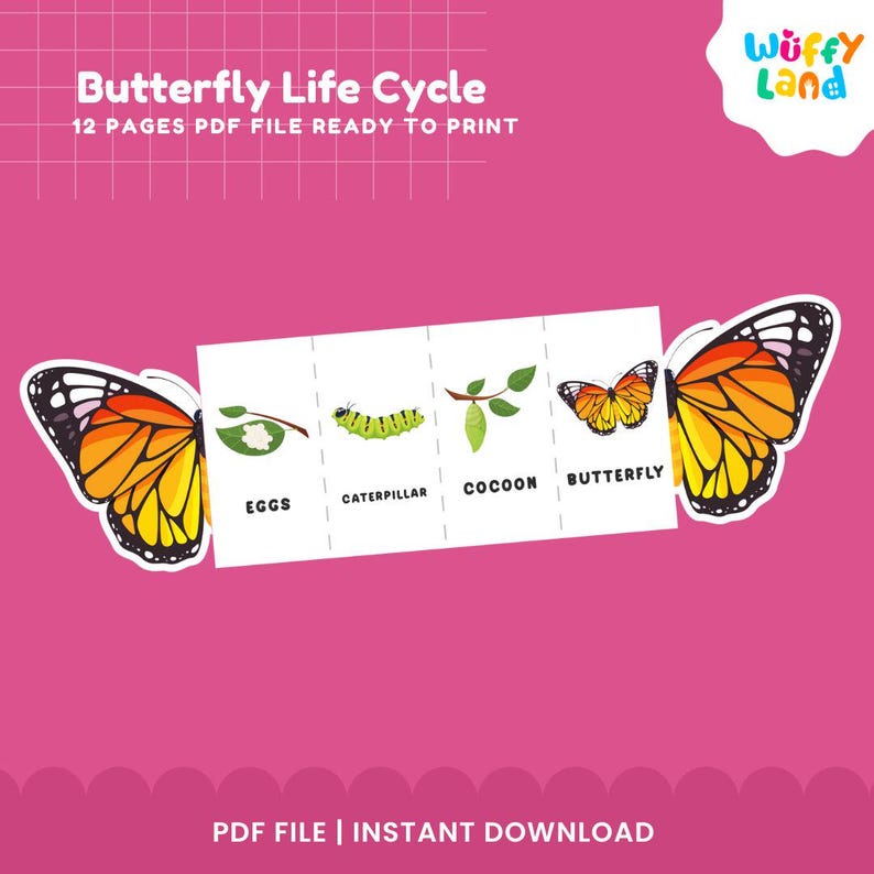 Butterfly Life Cycle Printable | Life Cycle Worksheet for Kids ...