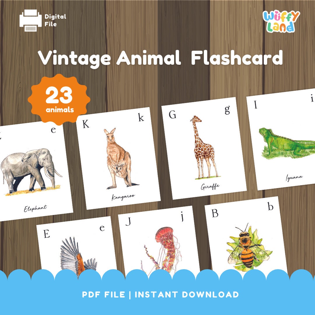 Vintage Animal Flashcard Handdrawing Animal Flashcard Toddler ...