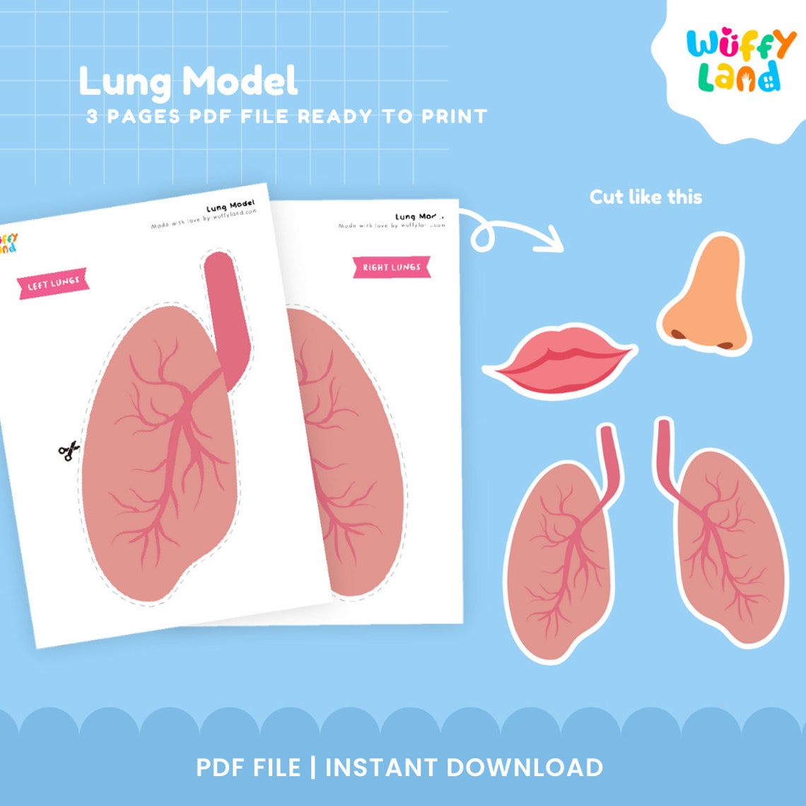 Lung Model, Lung Model Printable, Anatomy Printables, Lung Learning ...