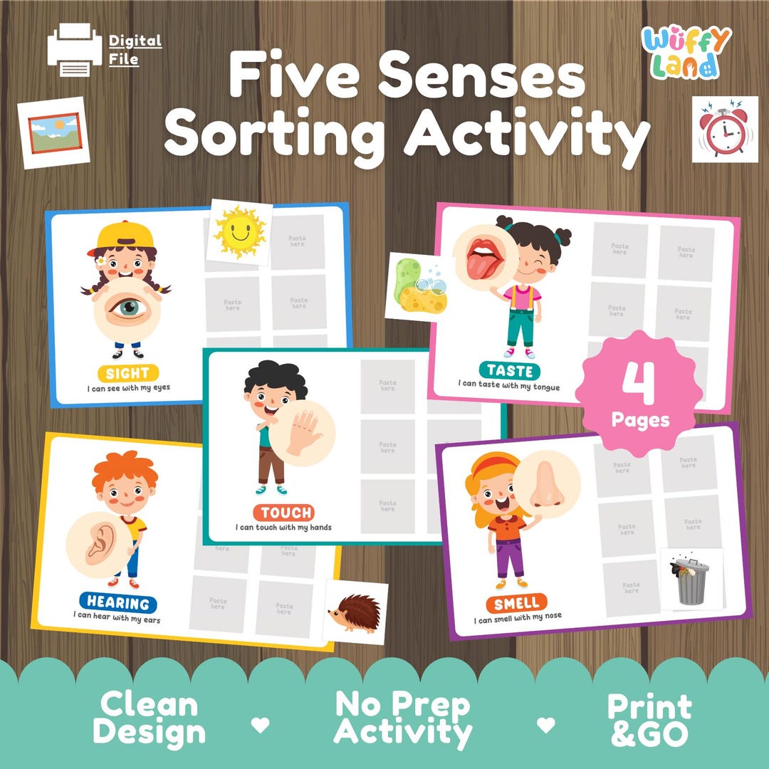 Five Senses Sorting Activity, Preschool Science Worksheet, Kindergarten ...